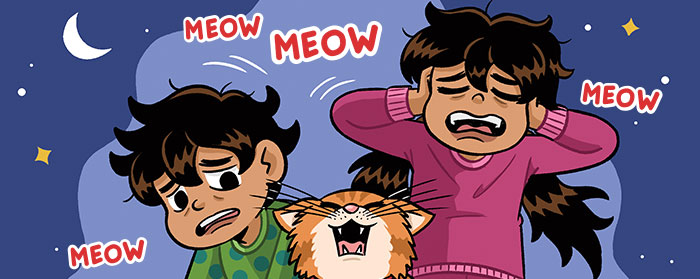 The Mystery of the Midnight Meows