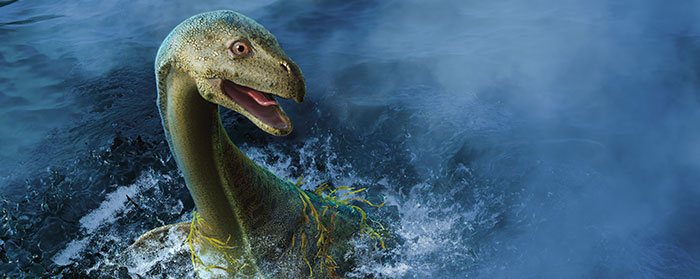 The Mystery of the Lake Monster