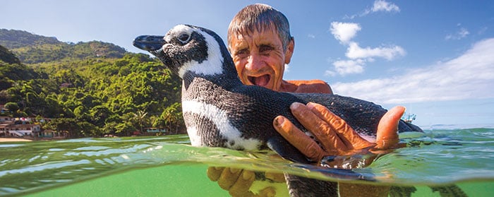 The Grandpa And The Penguin the-grandpa-and-the-penguin