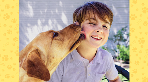 Will a Dog Change My Life?